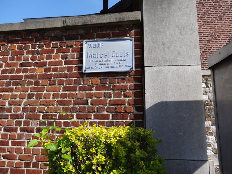 Photos de Marcel COOLS - Foto's van Marcel COOLS