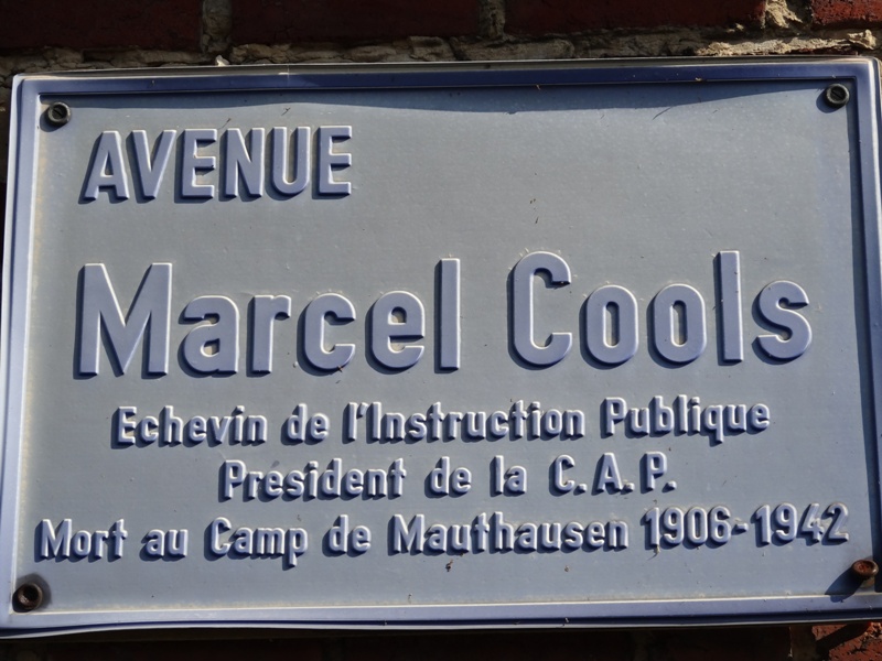 Photos de Marcel COOLS - Foto's van Marcel COOLS